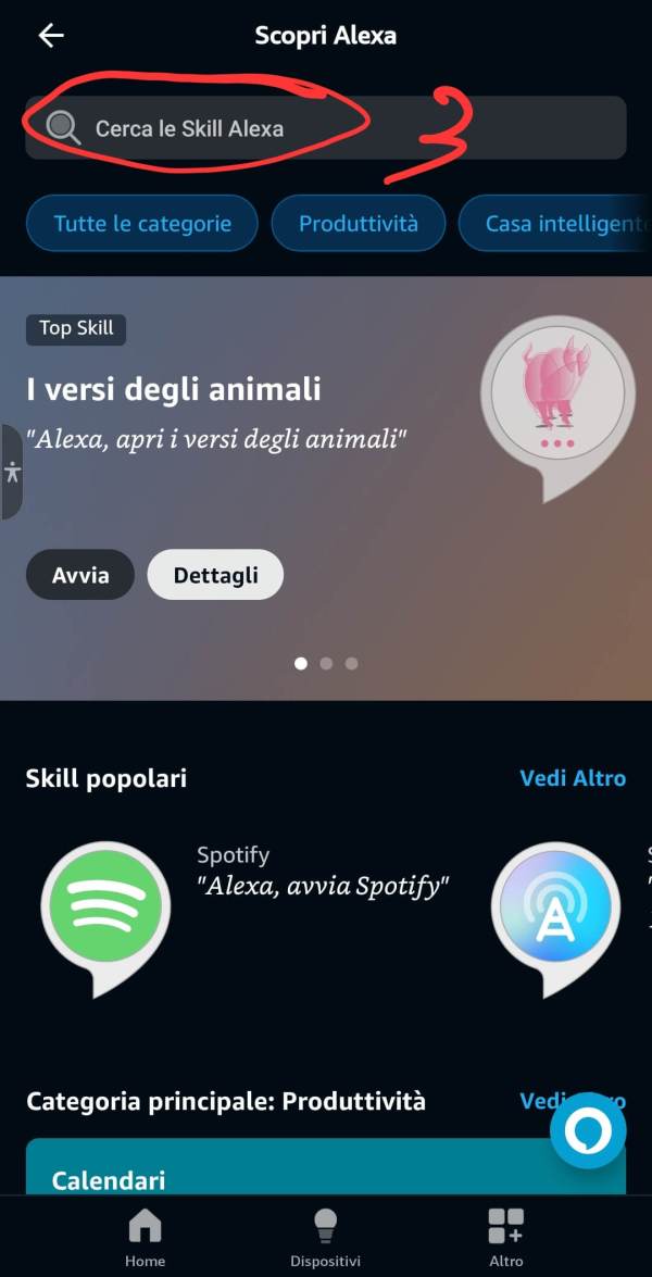 Come collegare ad Alexa delle telecamere Ezviz | Enzo Contini Blog